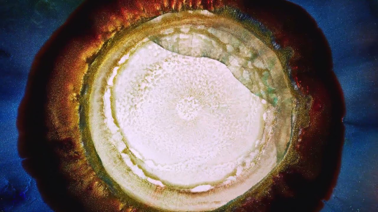 Émérillon: Autorisé-Zugelassen - YouTube