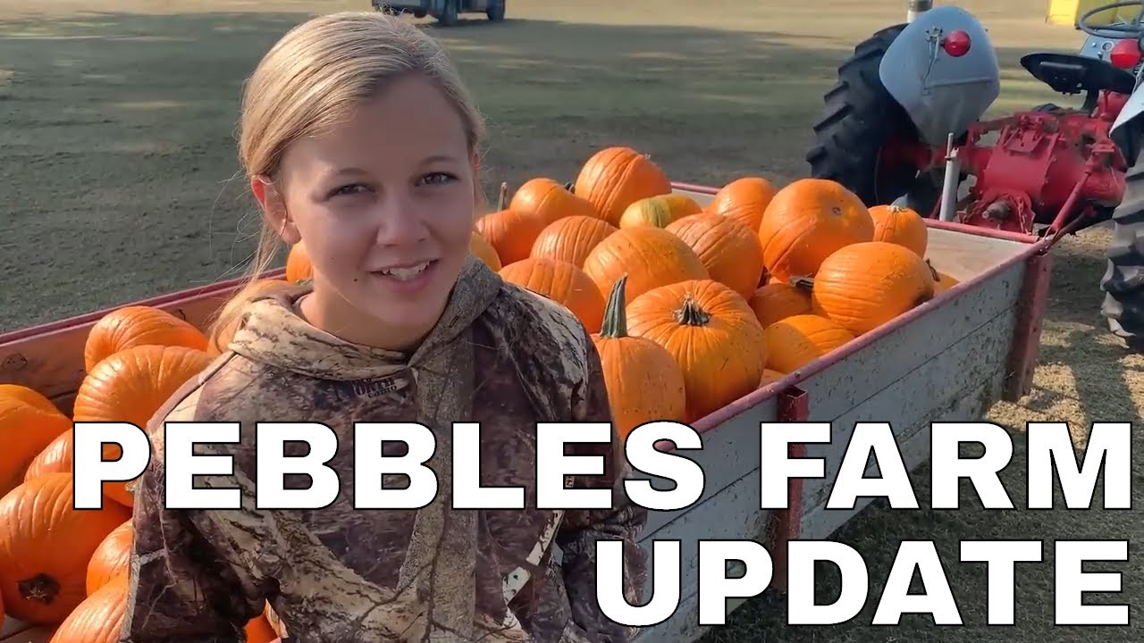 Agritourism 2020 Update | Peebles Farm - YouTube