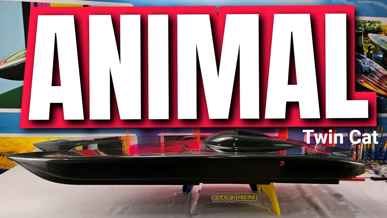 100+MPH Speed Run Rc Boat! Animal Twin Cat by Oxidean Marine - YouTube