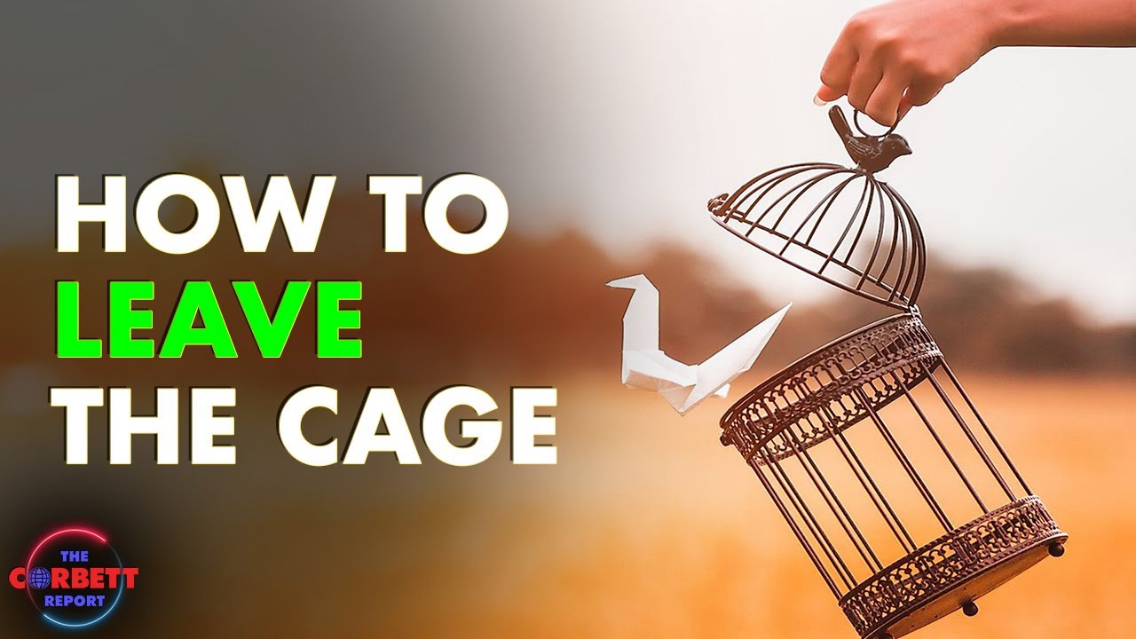 How to Leave the Cage - #SolutionsWatch - YouTube