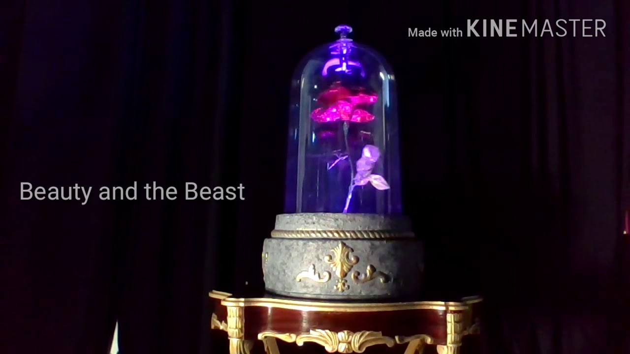 Enchanted Rose Theatrical Prop - YouTube