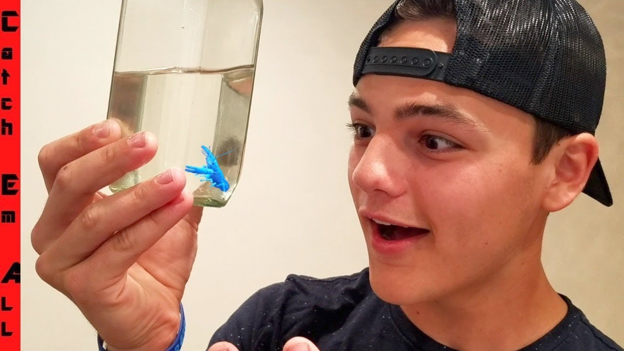 PAUL CUFFARO Secret NEW MICROSCOPIC PET Fish Gift and HOUSE TOUR! - YouTube