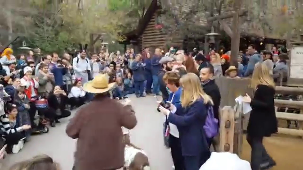 Last Running of the Goats at Disneyland 2016 - YouTube