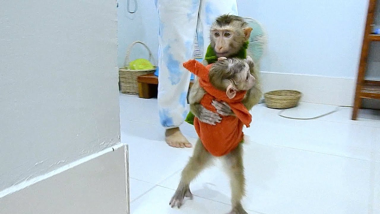 Amazing Strong Girl JESSI Able To Carry Little POLEE Easily. - YouTube