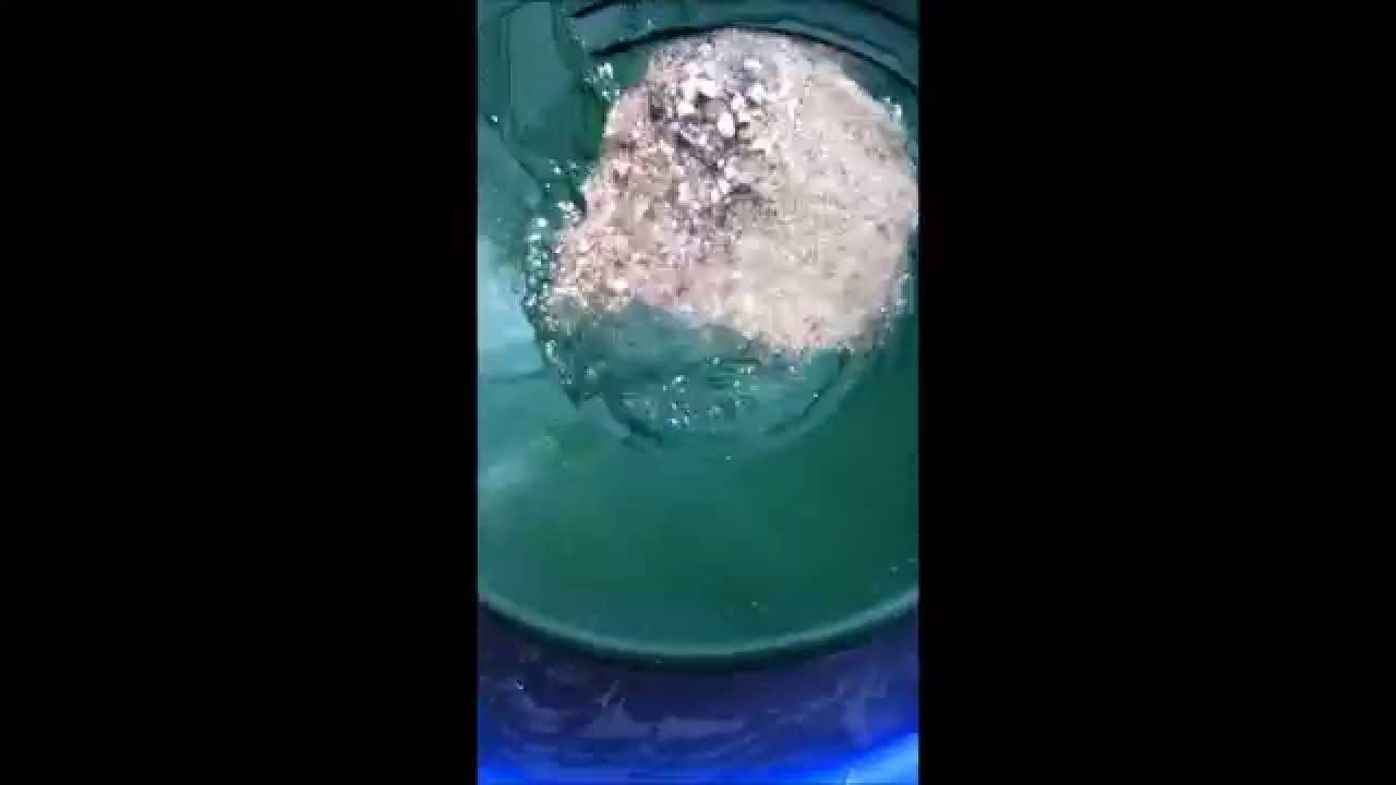 Lake County, Ohio - Panning for gold in Ohio - YouTube