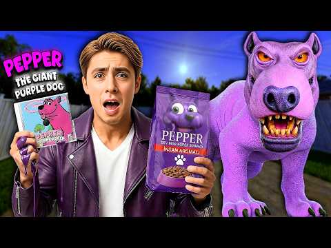 DEV MOR KÖPEK PEPPER ÇOK AÇ! | Pepper the Giant Purple Dog Türkçe