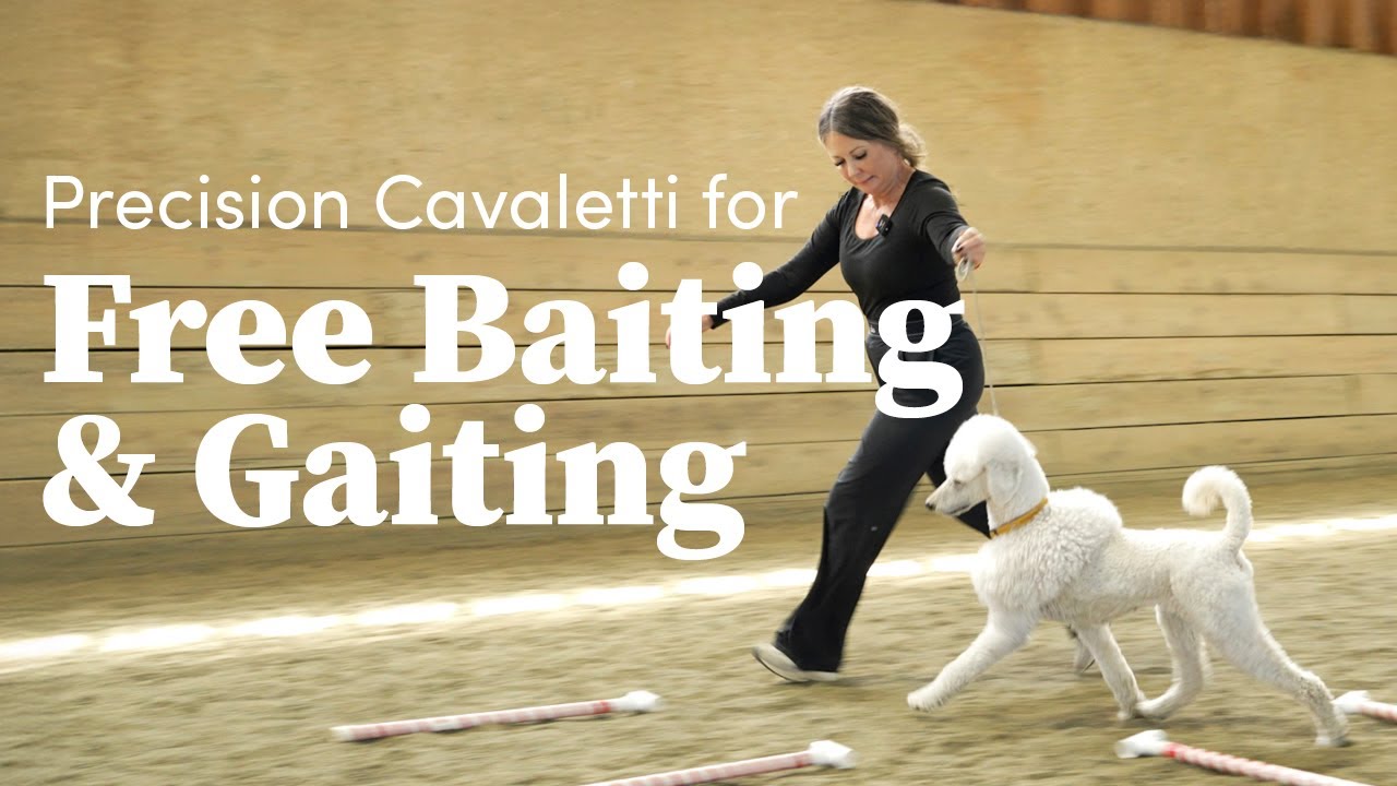 Stopping at the Poles Training Exercise | Precision Cavaletti for Free ...