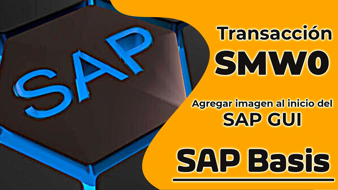 SAP Basis - Transacción SMW0 - Imagen al inicio de SAPGUI - YouTube
