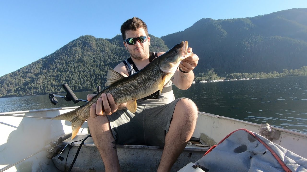 Fishing for GIANT Northern Pike Minnow on Shuswap Lake I Catch and Cook ...