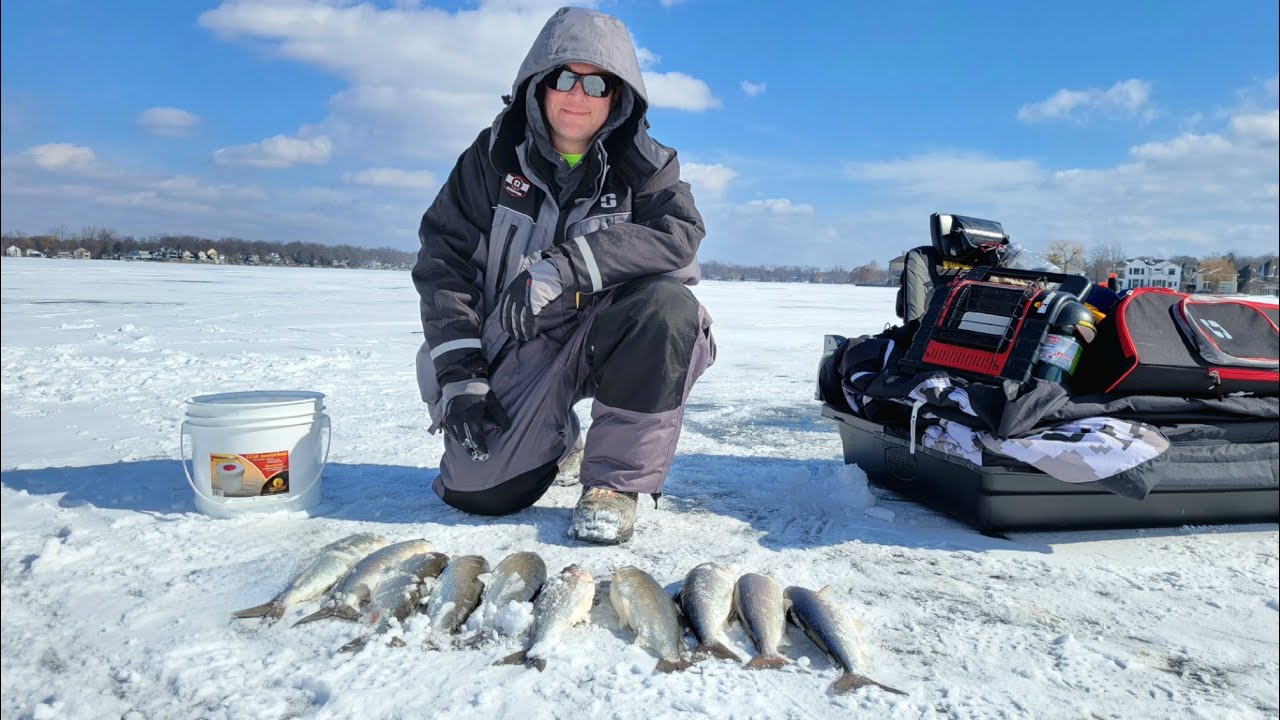 Icefishing Cisco in Southeast Michigan - YouTube