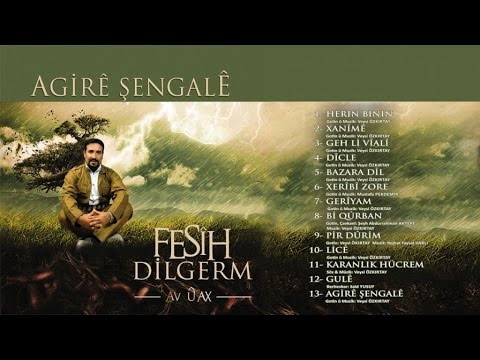 Fesîh Dîlgerm - Xerîbî Zore
