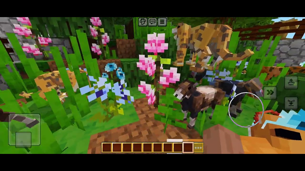Mine Zoo 2 By Cyclone Designs Addon Showcase - YouTube