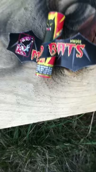 Mad Bats #2 - YouTube