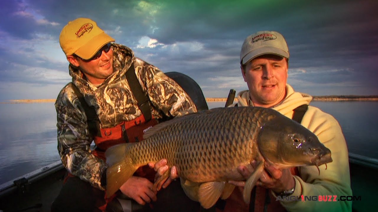 Carp Tactics For Spring - YouTube