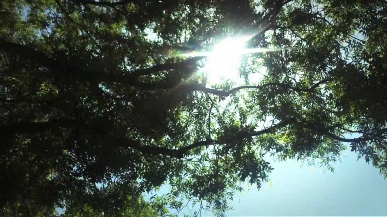 Marc Renton - POD (Payable on Death) - YouTube