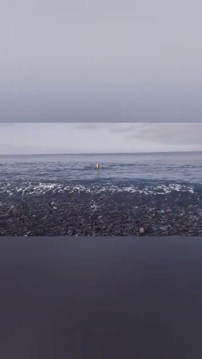 Плаваем с маской в океане пляж остров Мадейра Португалия Ocean