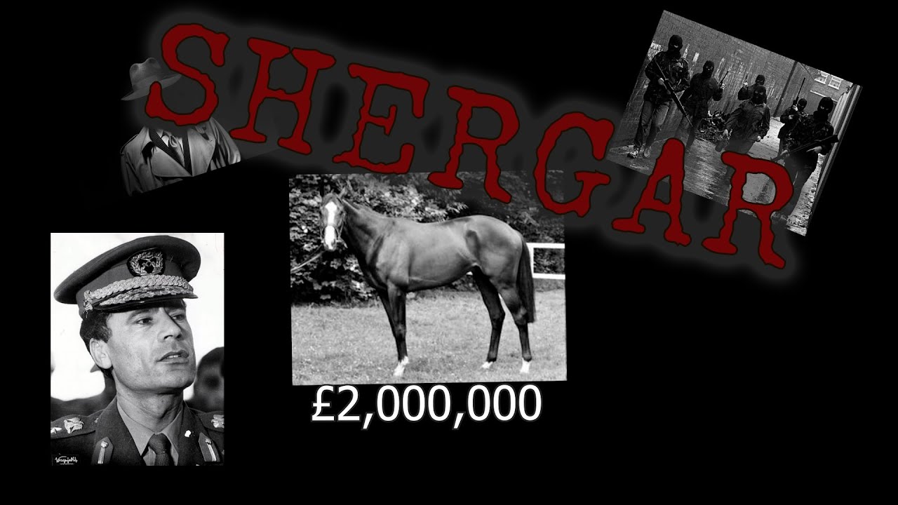 What happened to Shergar? - YouTube
