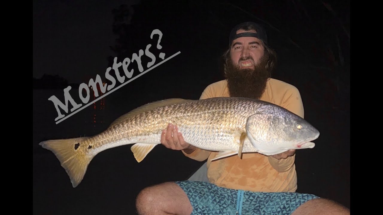 Catching Monsters After Dark! - YouTube