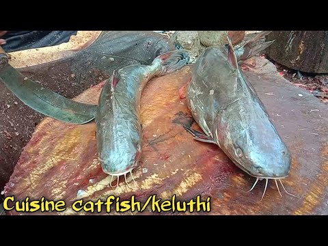 Cuisine cat (keluthi) fish cutting / Chennai kasimedu fish cutting ...