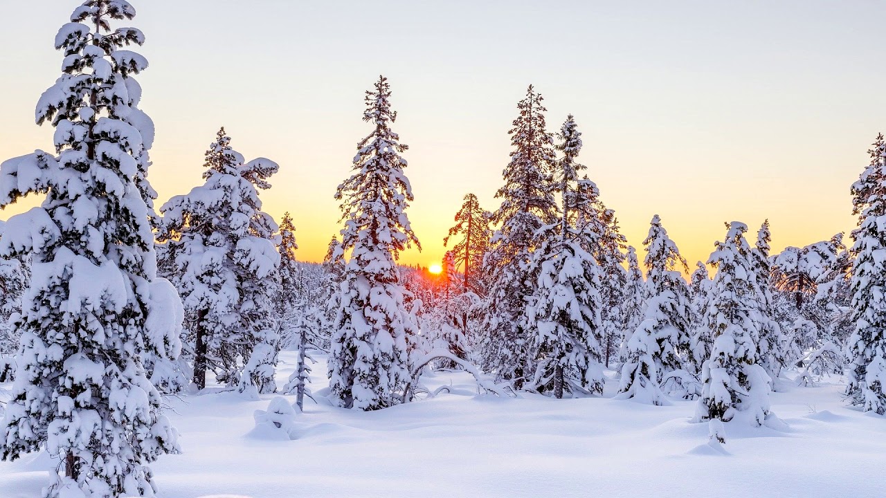 Winter by Walter de la Mare - YouTube