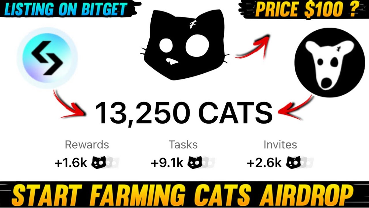How to Get CATS coins | CATS Airdrop Listing Date | Cats airdrop update ...