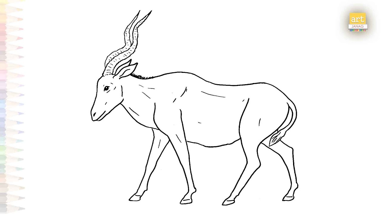 Hartebeest outline sketches | Animal drawings | How to draw African ...