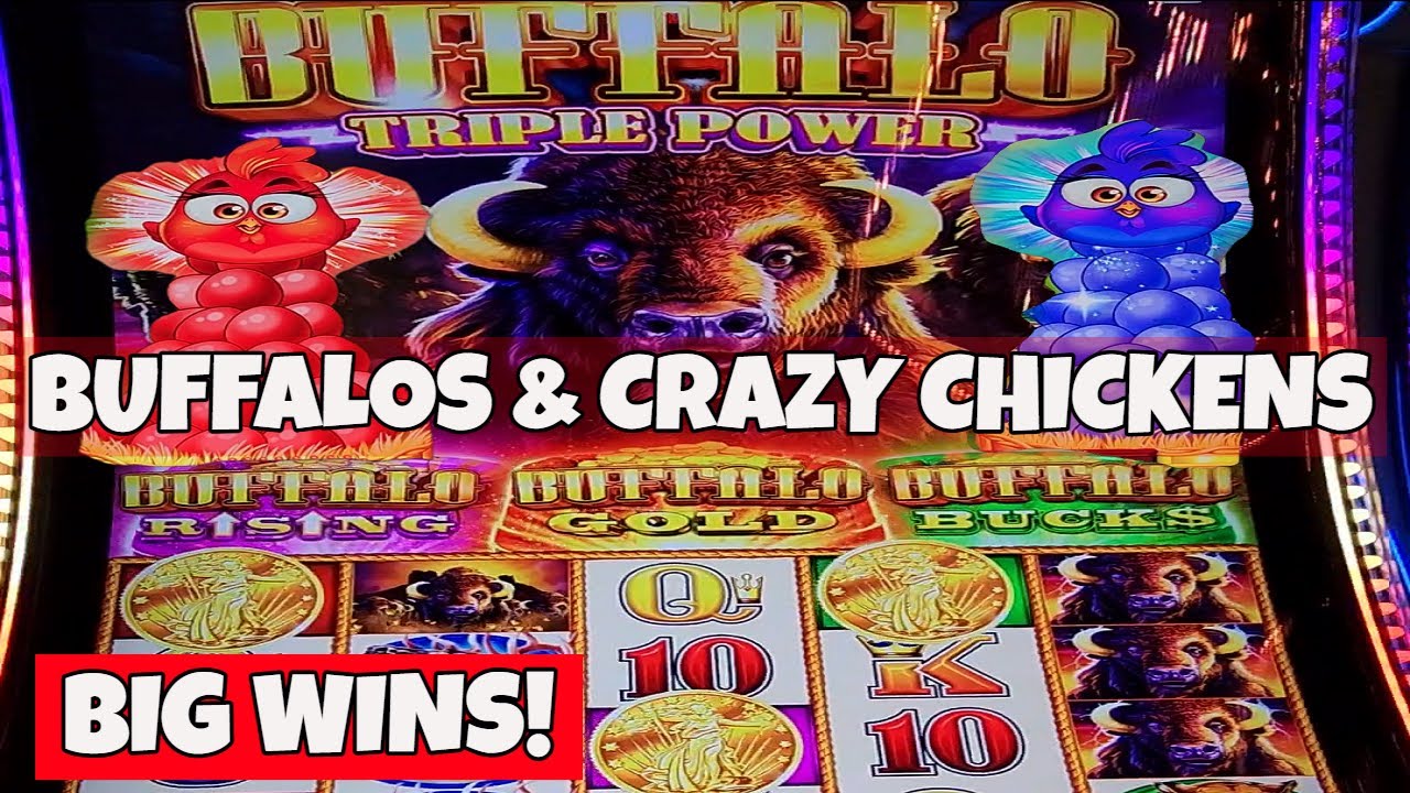 BUFFALO Triple Power, Triple Popped Bonuses!!! plus HUGE WIN on CRAZY ...