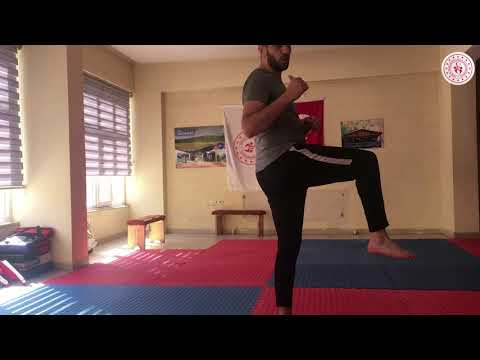 TAEKWONDO - DO CHAGİ TEKNİĞİ