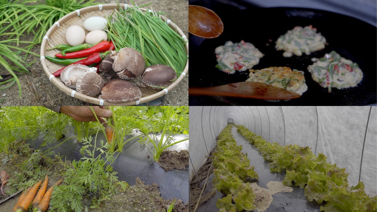 비닐하우스사는부부 자급자족시골일상겨울먹을농작물심기하우스농작물키우기서리태수확하기시골생활산골생활농촌생활life In The Countryside Of