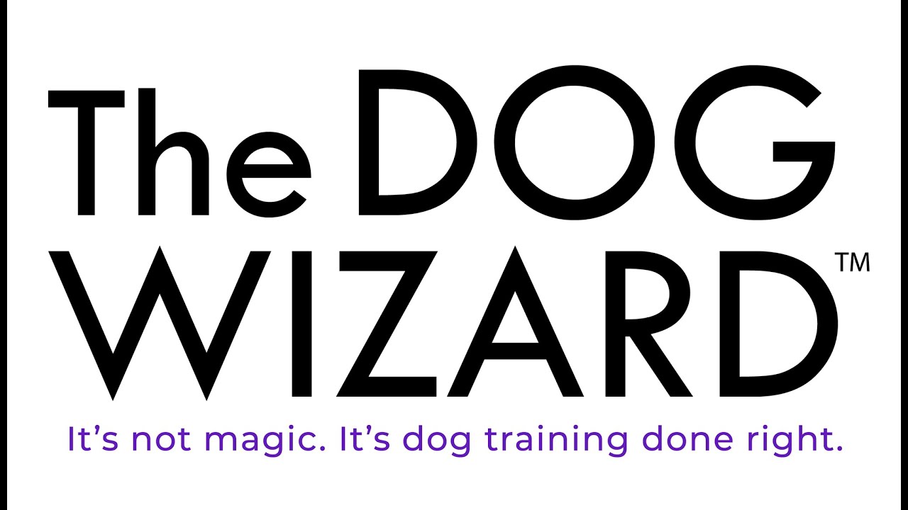 Change you and your dog's life with The Dog Wizard! - YouTube
