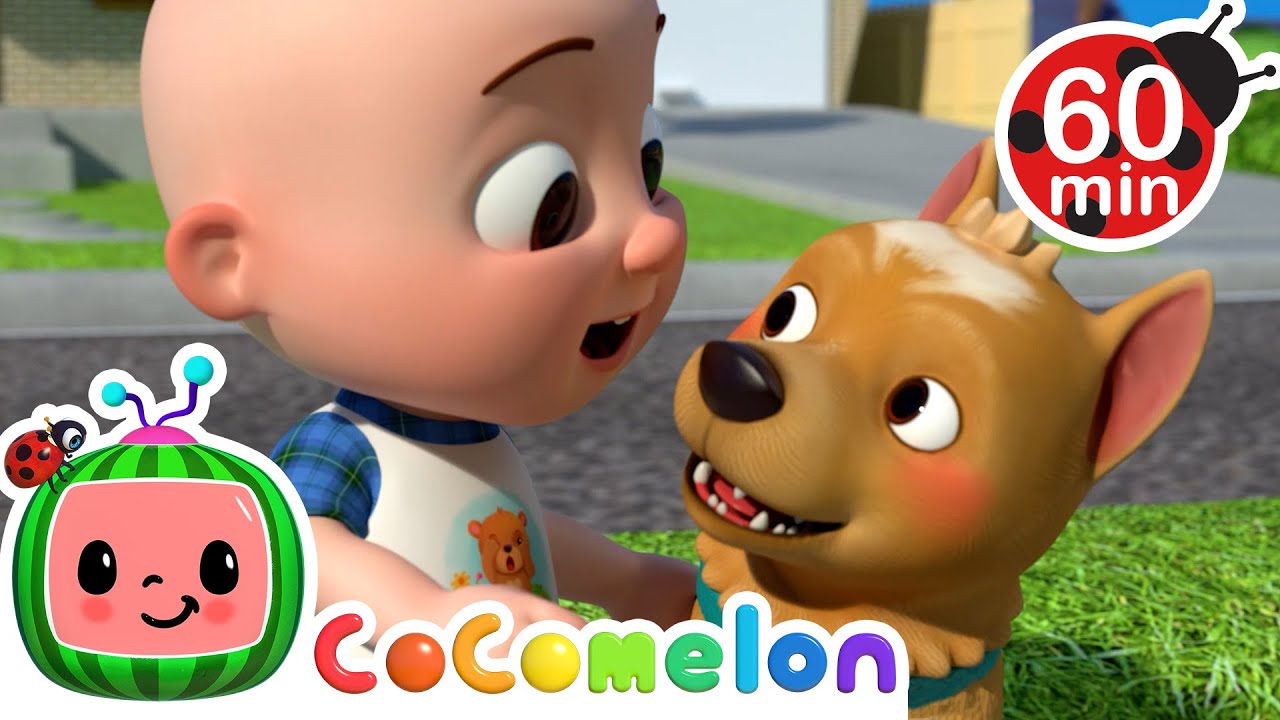 Bingo is Brown | Colorful CoComelon Nursery Rhymes | Sing Along Songs ...