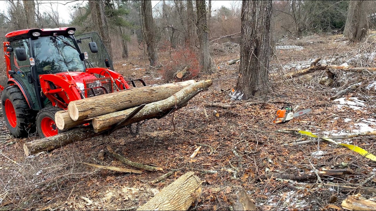 Logging our backyard for firewood! Pulling, cutting, hauling and ...
