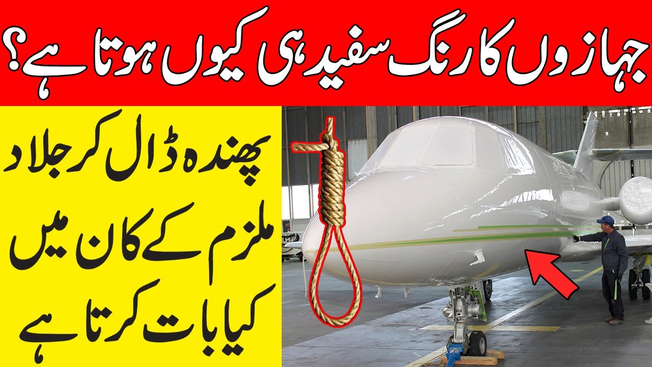 Amazing And Interesting Facts About Airplanes Random Facts Reality amazing-and-interesting-facts-about-airplanes-random-facts-reality