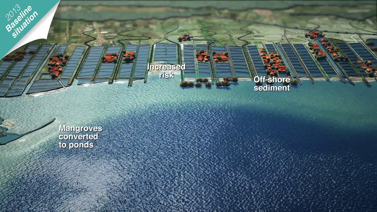 Building with Nature Indonesia: Baseline scenario coastal erosion in ...