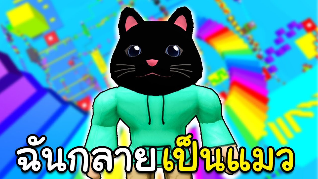 Roblox แมวเล่น ออฟบี้ อย่างปั่น555+│🐱 Obby but u're a cat - YouTube
