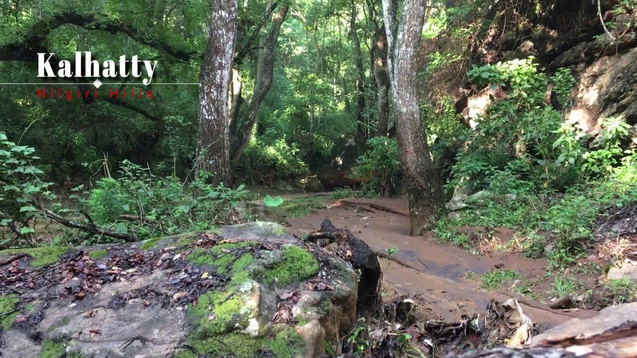 kalhatty waterfalls ooty|Kalhatti Falls|Nilgiris|Ooty Pykara Waterfalls ...