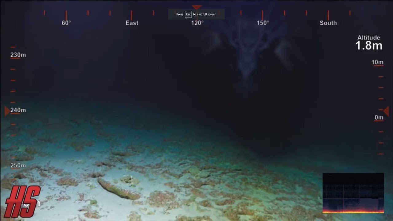 "Sea Serpent Investigates Deep Sea Camera In Murky Bora Bora" June 7 ...