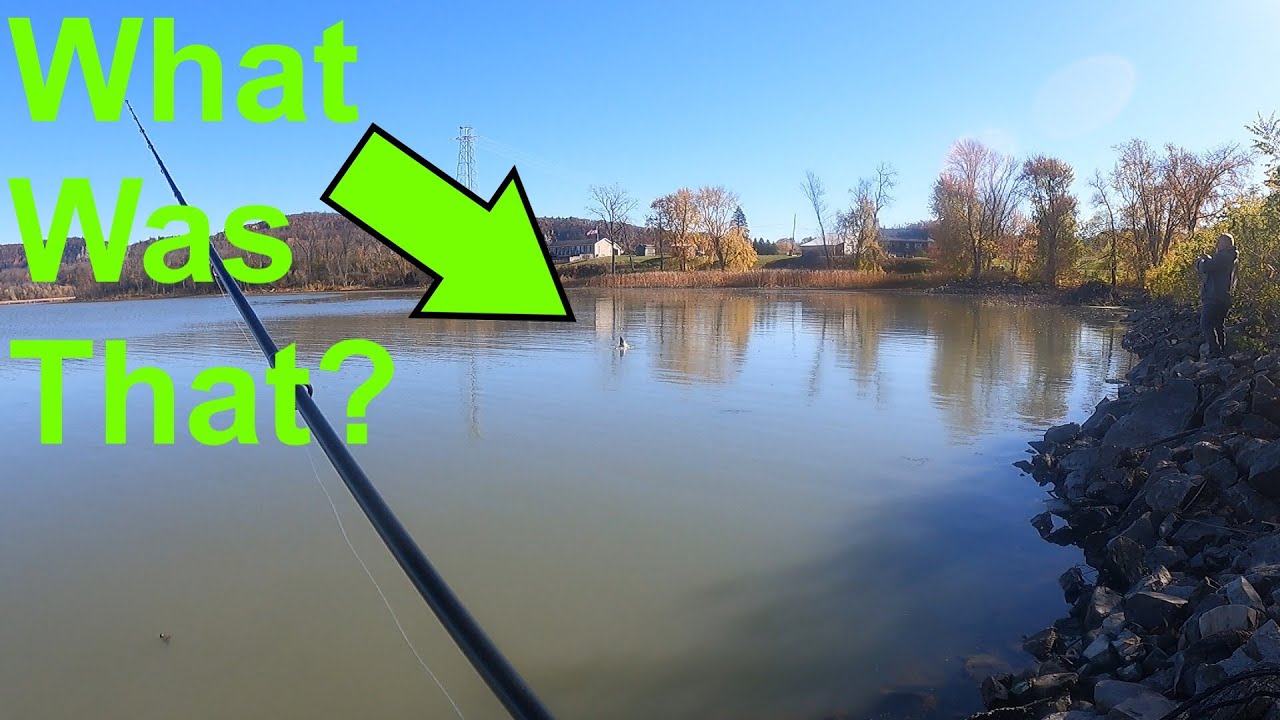 The Coldest Day Of Fishing This Season! [Primordial Fishing Episode 138 ...