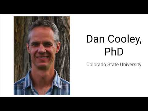Dan Cooley on the Colorado Fire Season - YouTube