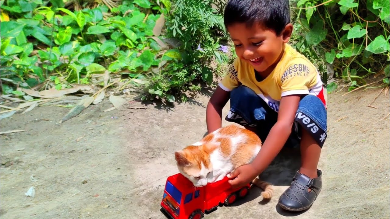 Baby Rescue A Cat With Car shortsfeed toys babyplaying shorts baby-rescue-a-cat-with-car-shortsfeed-toys-babyplaying-shorts