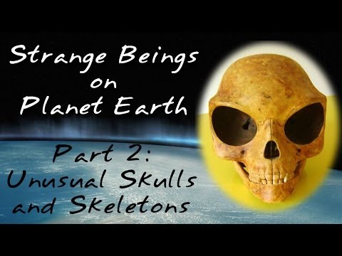 Strange Beings on Planet Earth Part 2: Unusual Skulls and Skeletons ...