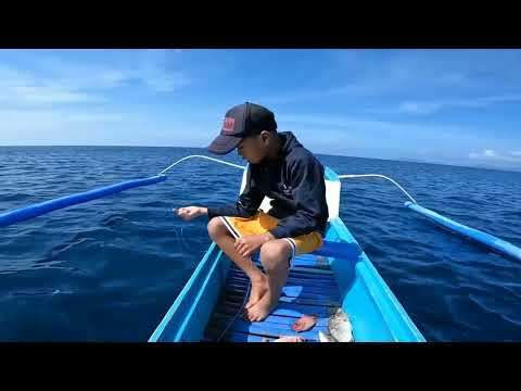 mancing Ikan katambak - YouTube