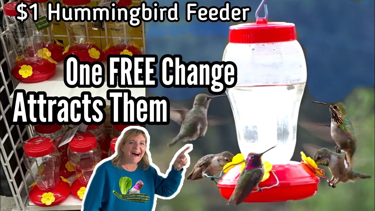 $1 Hummingbird Feeder Attracts Hummingbirds with DIY Perch Seats EASY ...