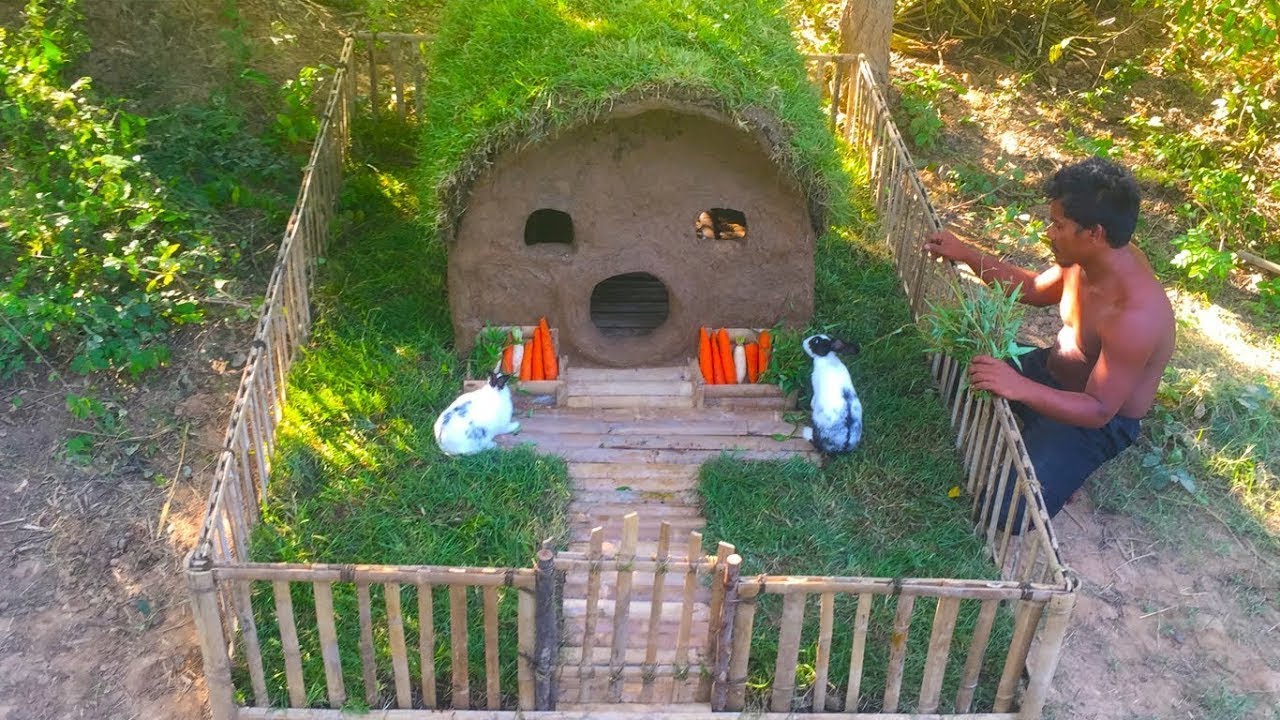 Build beautiful house for Rabbit - YouTube