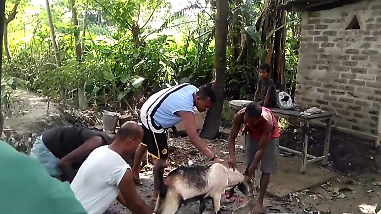 most dangerous goat cutting by pramanand chaudhary - YouTube