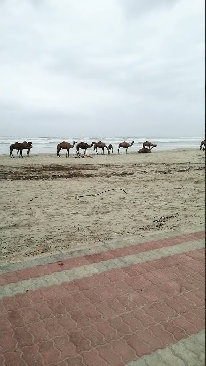 تصويري من على كورنيش ولاية طاقة Youtube