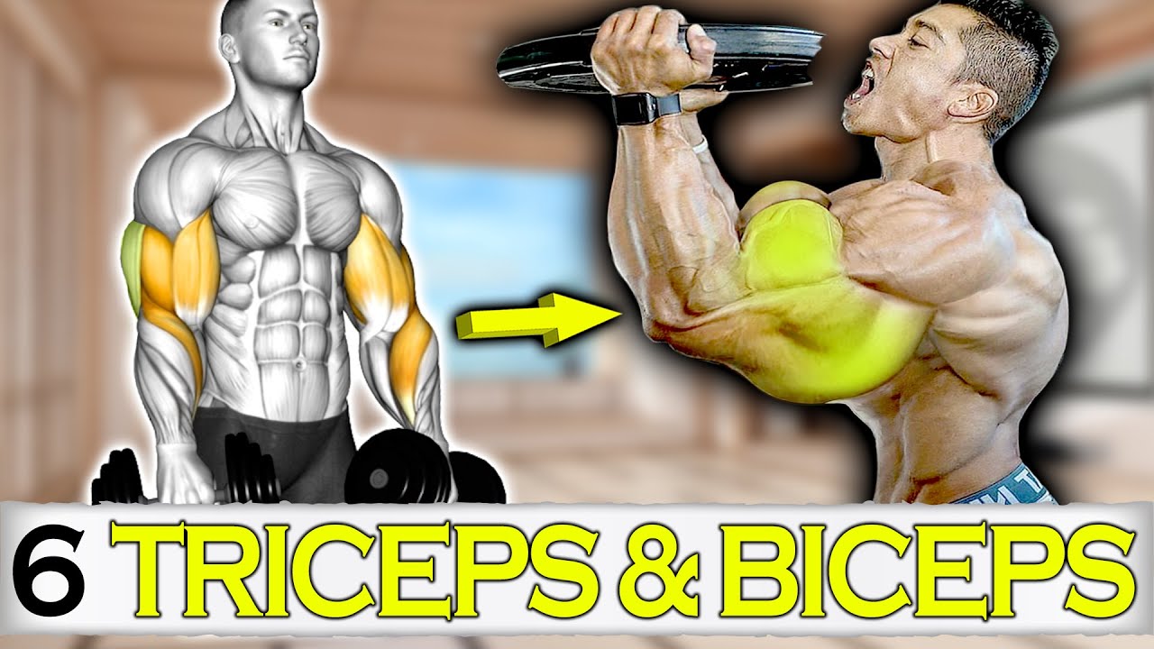 6 Best Triceps & Biceps Workout for Big Arms - YouTube