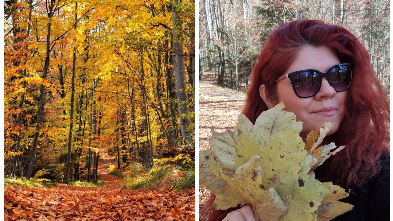 Turist pentru o zi in Sinaia: Plimbare pe poteca regala - YouTube