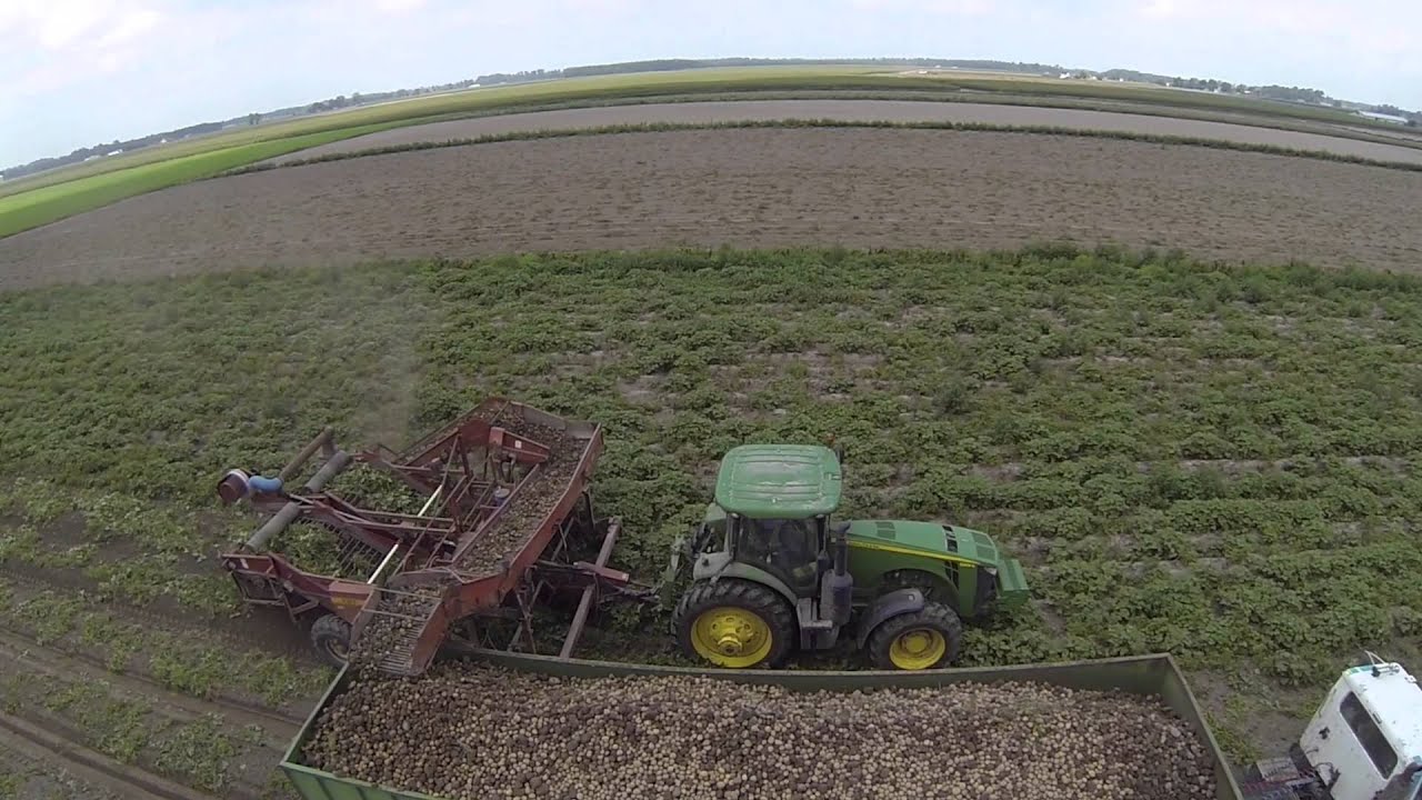 W.B. Bateman Farms Digging Potatoes 2015 - YouTube