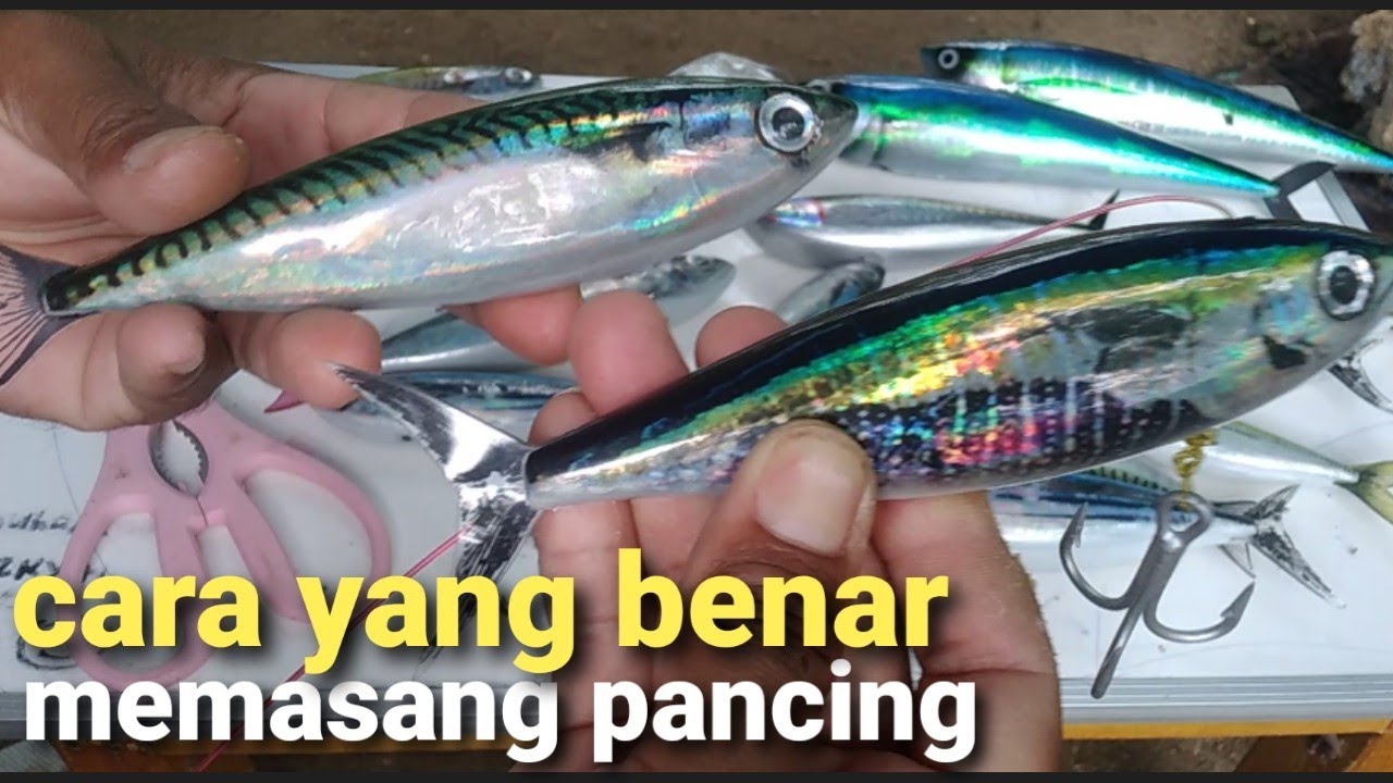 Umpan tonda yang banyak digunakan pemancing tuna,Ini cara pasang mata ...